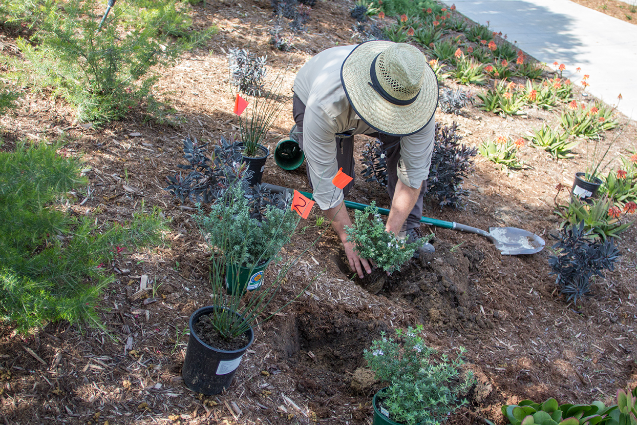 installation – Roger's Gardens Landscaping
